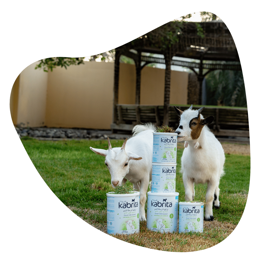 High Quality Dutch Goat Milk Formula | Kabrita UAE